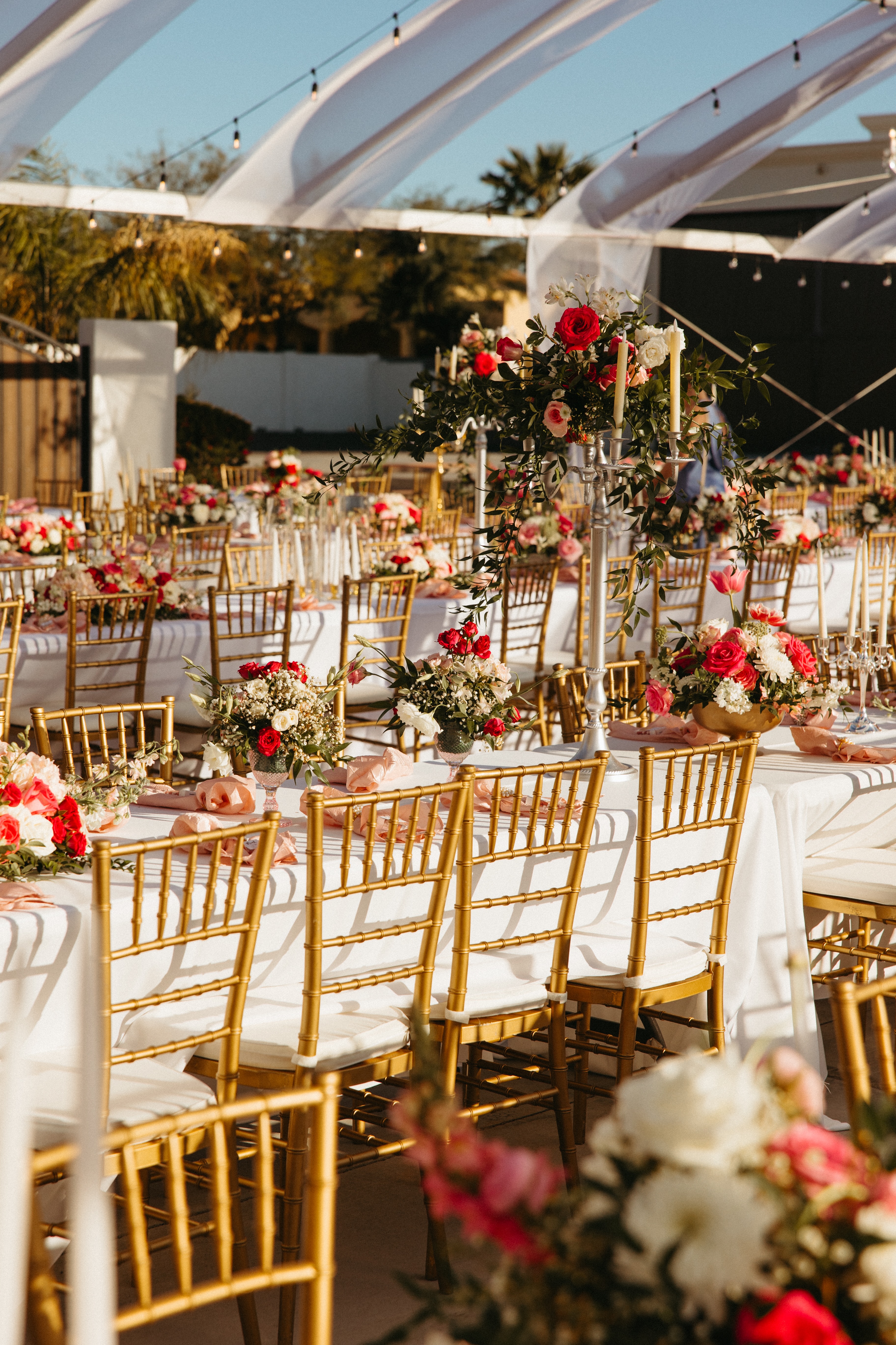 Products | Royalty Rentals